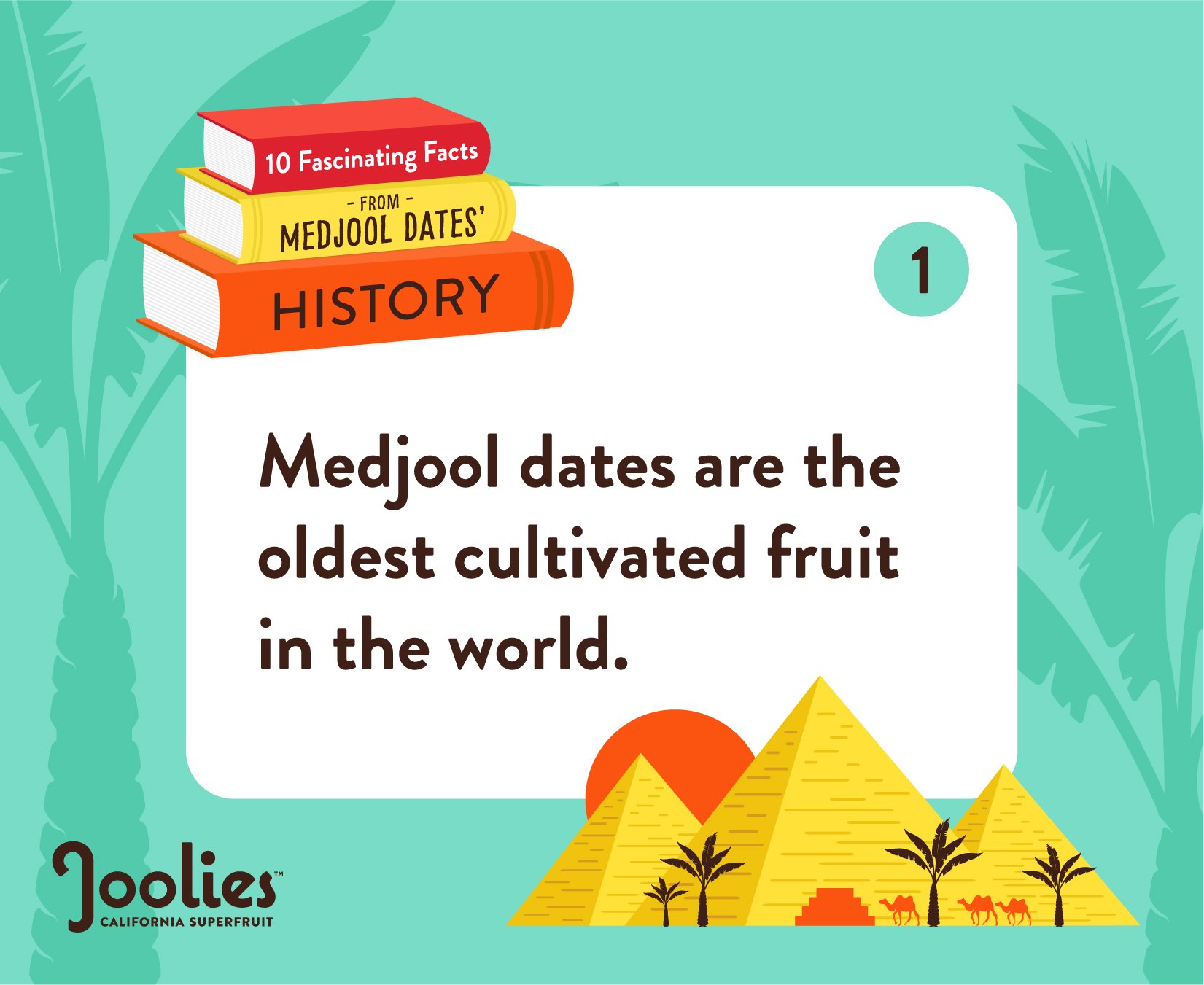 10 Fascinating Facts From Medjool Dates' History